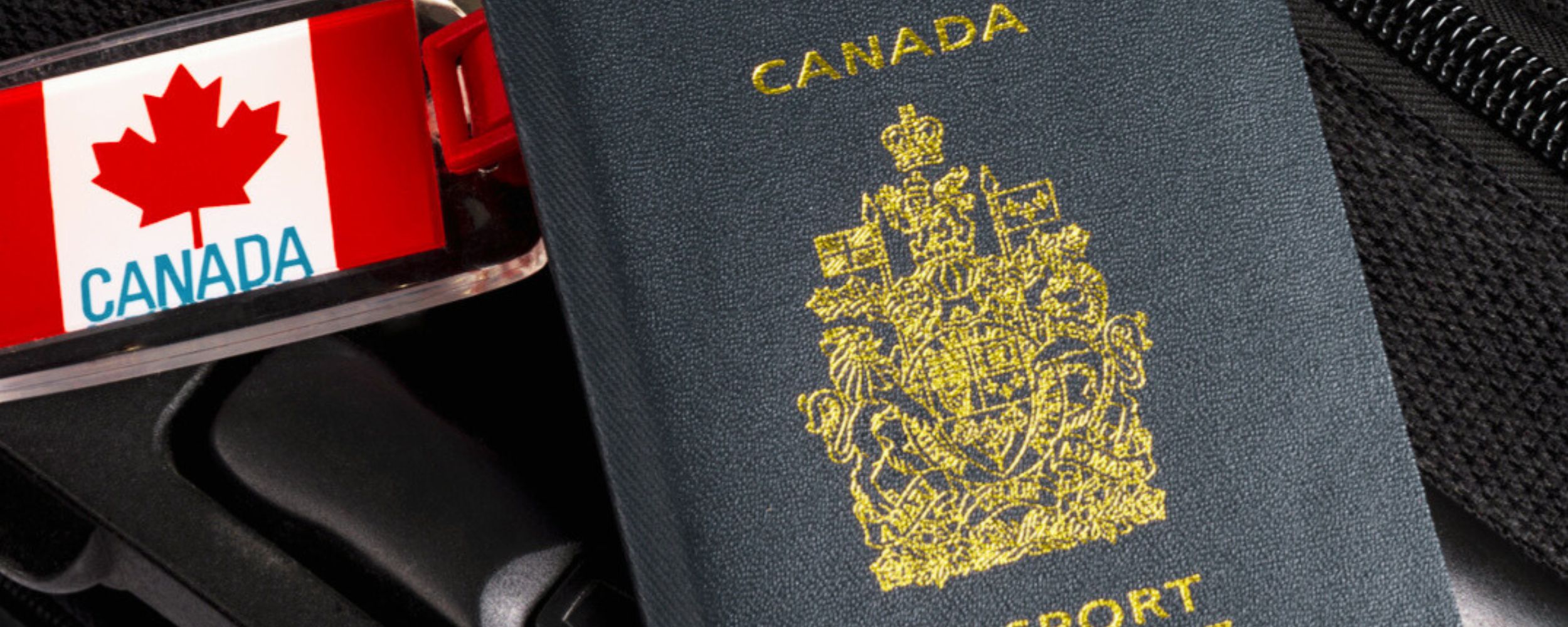 Ranking Of Canadian Passport Power In 2023 Online Visa News